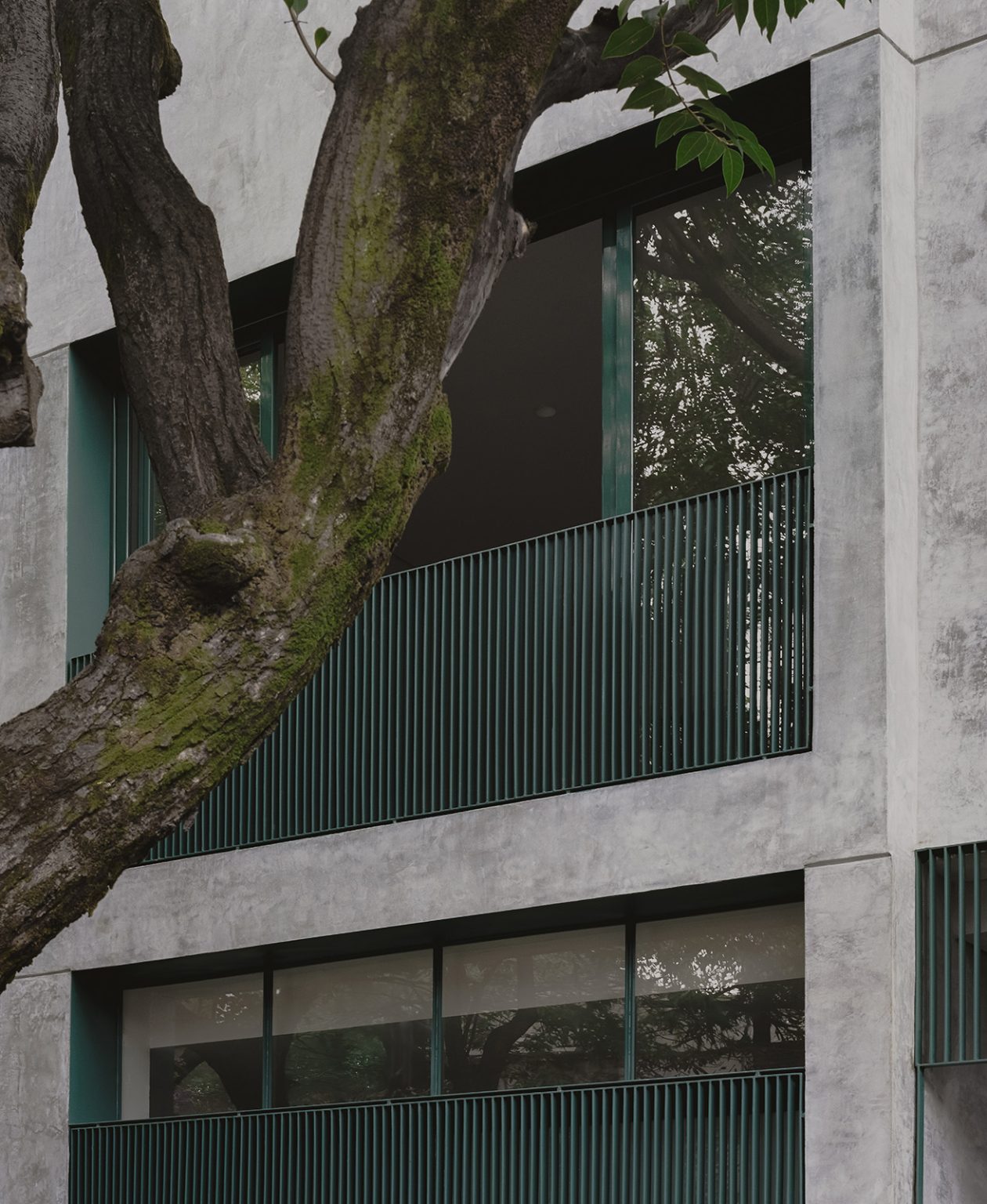 DREAM HOUSES // Casa Sofia: Contemporary Design to Revitalize a Space ...