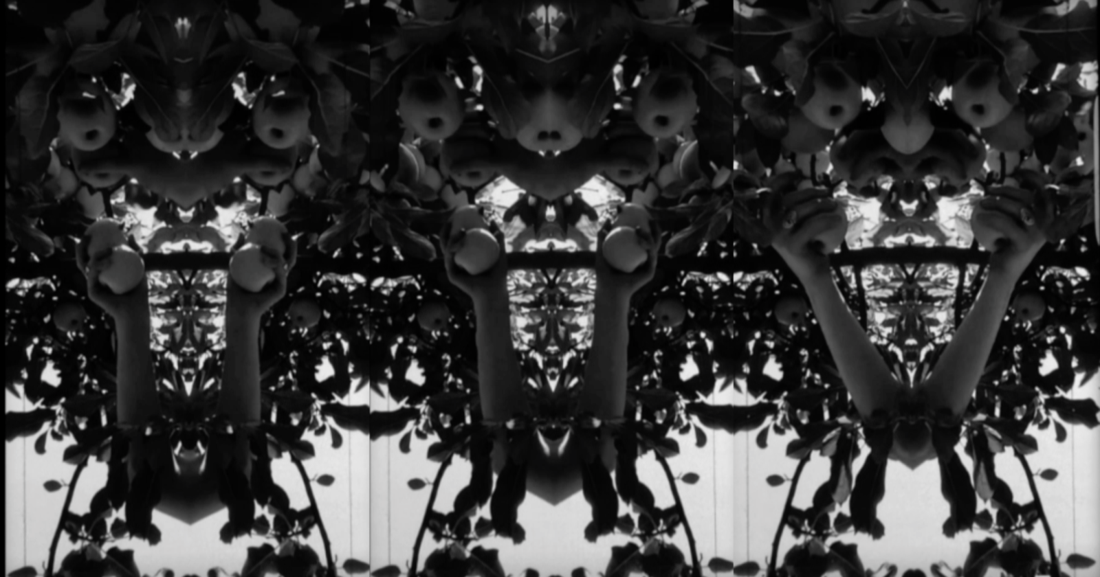14. Safadi Shada Gaze III video - Archisearch