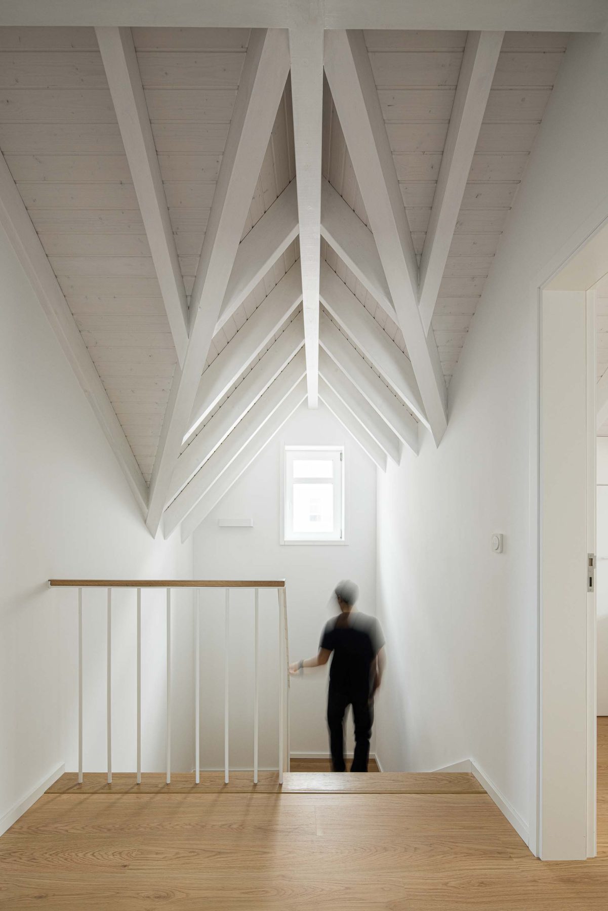 Casa Clara arquitetura M2.Senos e fotografia Ivo Tavares - Archisearch