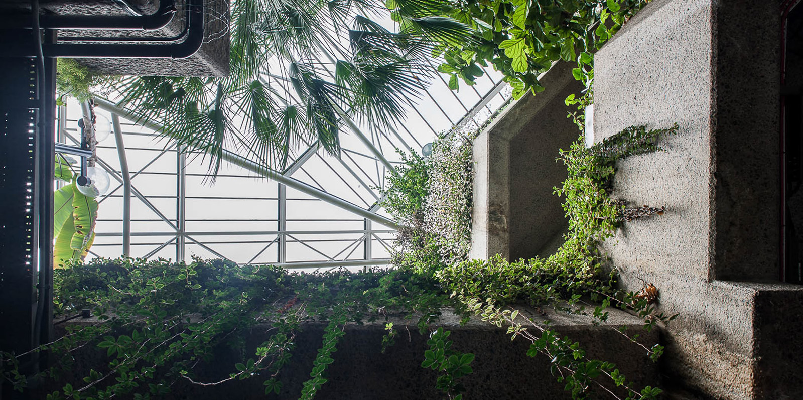 The Exotic Brutalism of the Barbican Conservatory Depicted by Luke ...