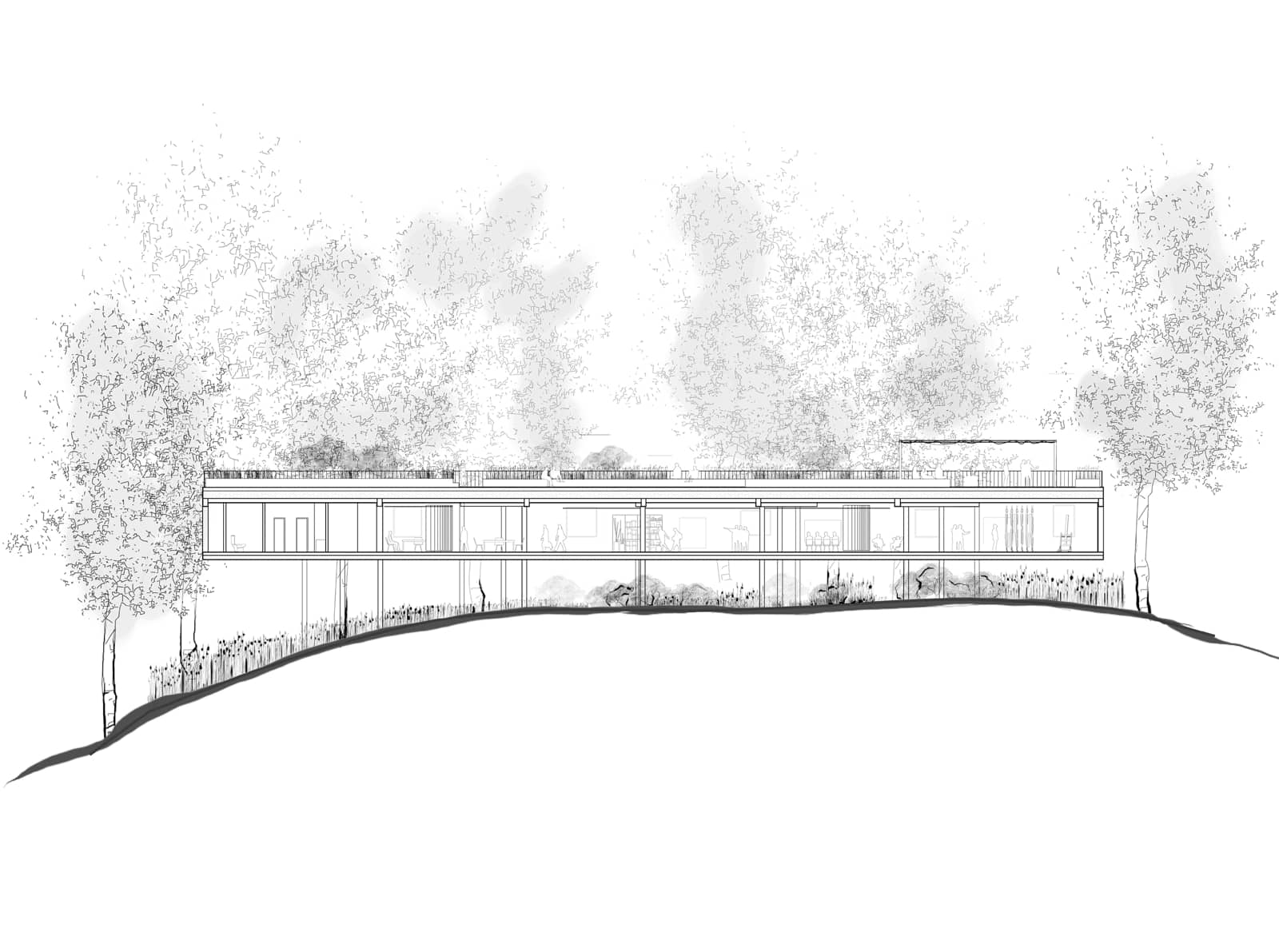 Figure 8 Zoom-in – Section B–B (building–landscape relationship ...