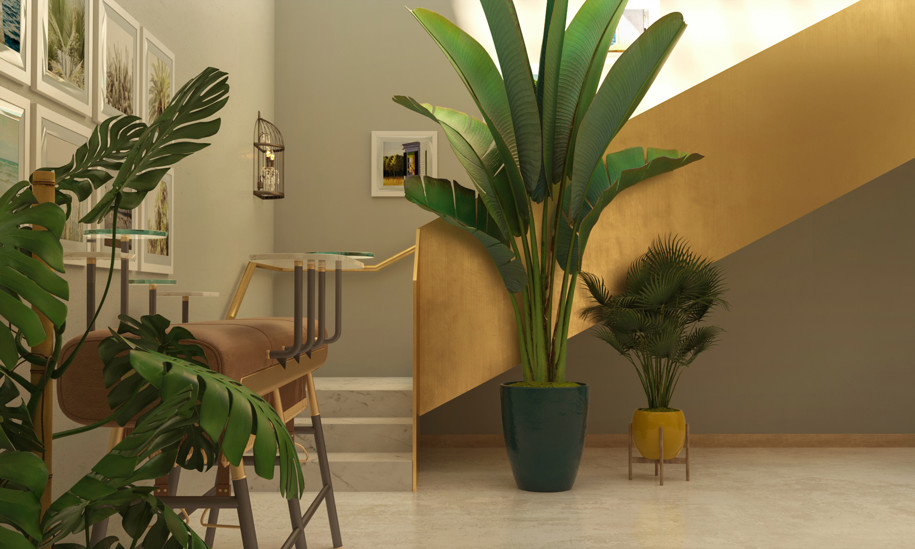 Green Parrot Cafe | Archipneuma