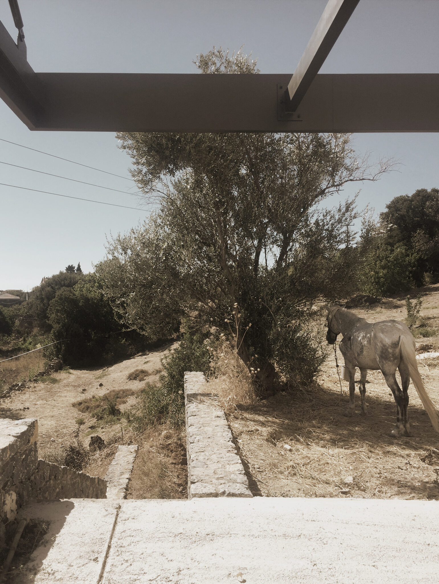 Longhouse II in Chios island, Greece | SOUTH architecture