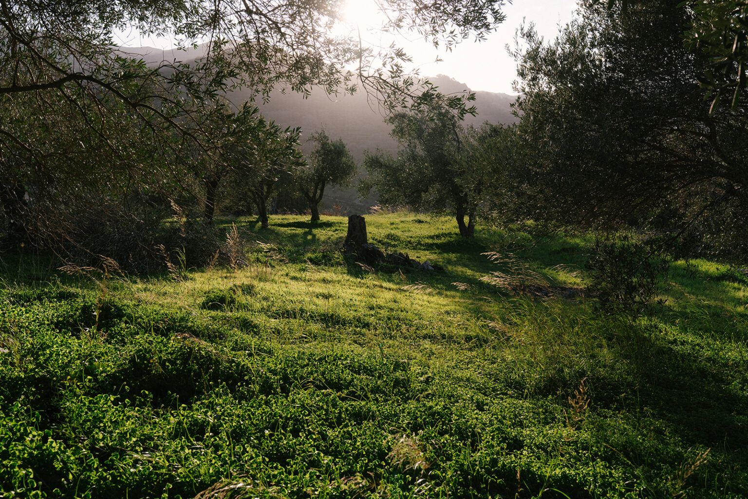 Meraki Studios in Spili, Crete | by Sigurd Larsen Design & Architecture ...