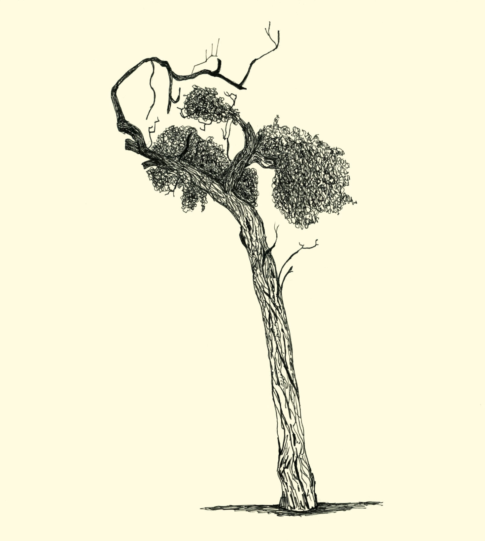 Platforms Project 2024 στο Καπνεργοστάσιο | 10-13 Οκτωβρίου - Archisearch