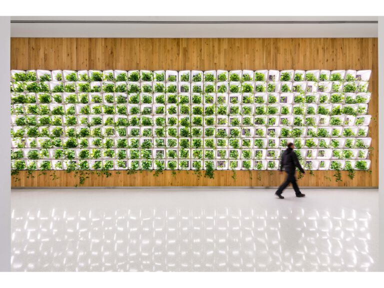 ΕΣΩ 2022_Meet the speakers|Moving Beyond Greenwashing! by Andreas ...