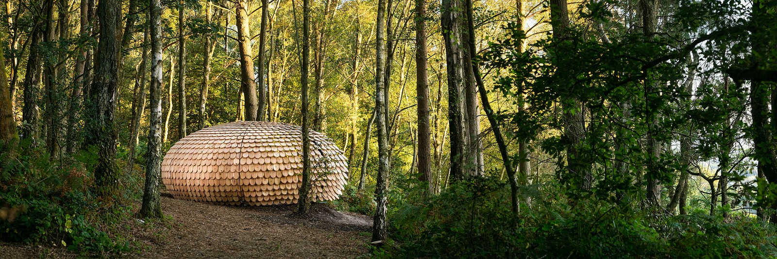 Perspectives | GILES MILLER STUDIO - Archisearch