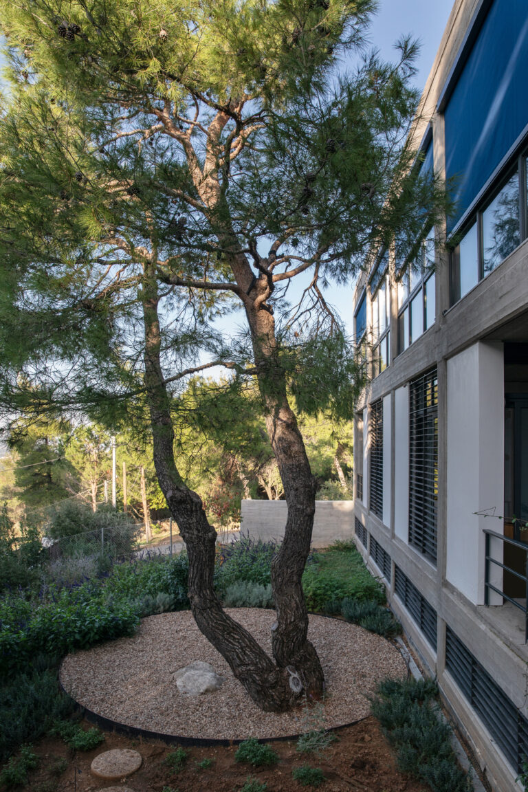 House in Ekali by Plaini and Karahalios Architects - Archisearch